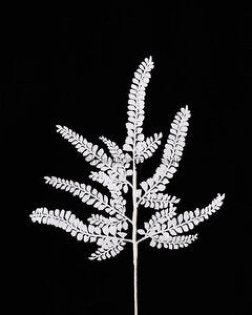 Sparkling Picks - Glittering Sprays for Wreath Brilliance — DecoExchange®