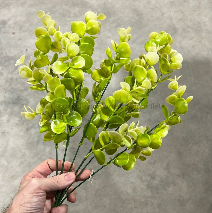 Pls Euc Bush X 8 Crm 57795 — DecoExchange®