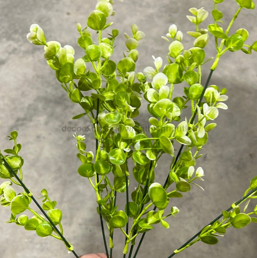 Florals - Elegance in Every Petal — DecoExchange®