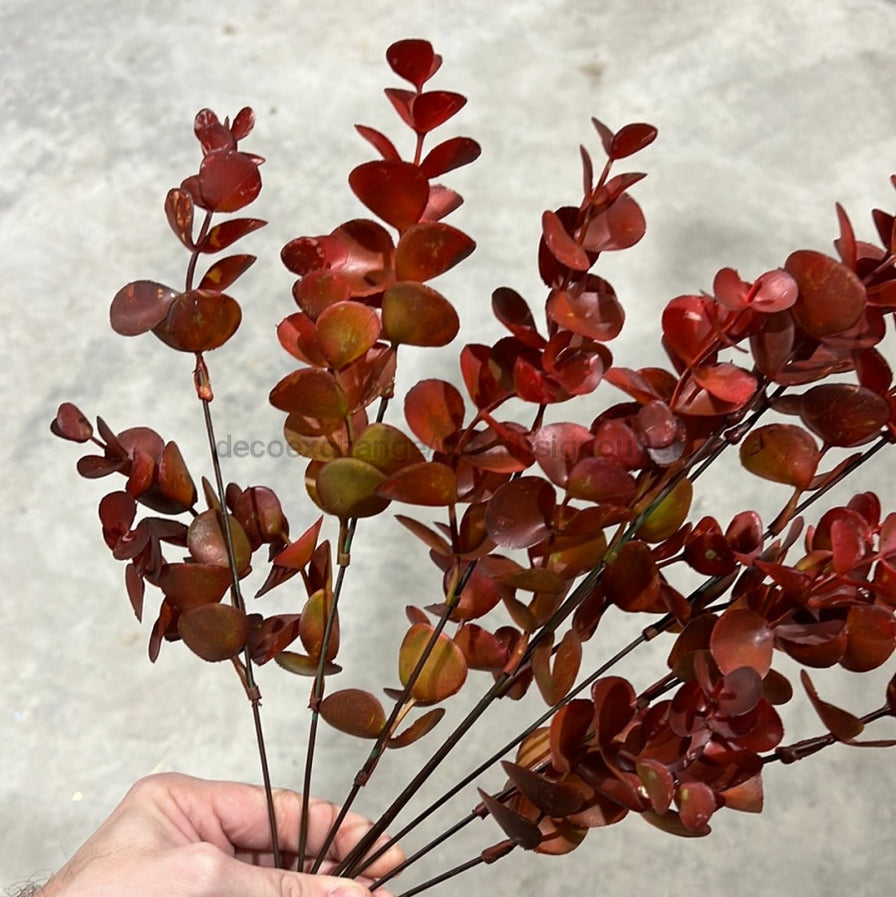 All Products - Explore Our Full Product Catalog — Page 5 — DecoExchange®